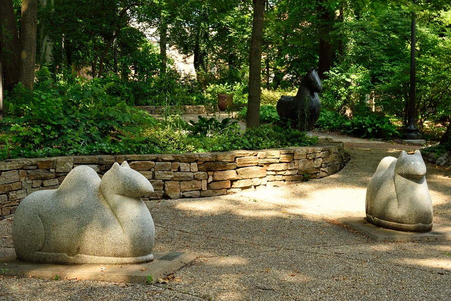 Ask the Green Guide: Art and Sustainability - JHU Climate & Sustainability